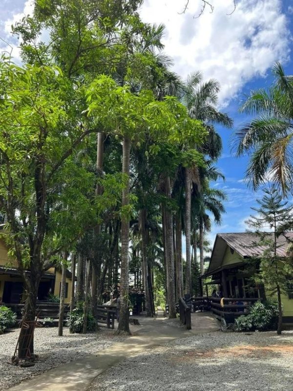 Anawim – Feast Mercy Ministries